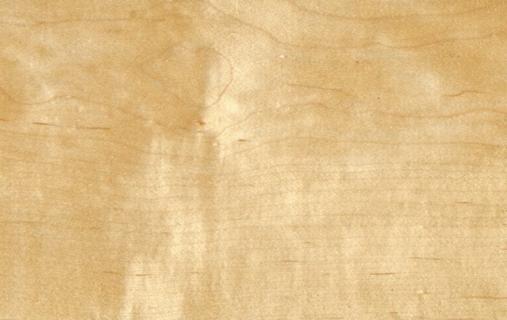 Timber Flooring Projects - Maple | Swinard Wooden Floors