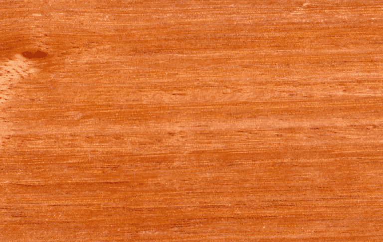 Timber Flooring Projects - Saligna | Swinard Wooden Floors