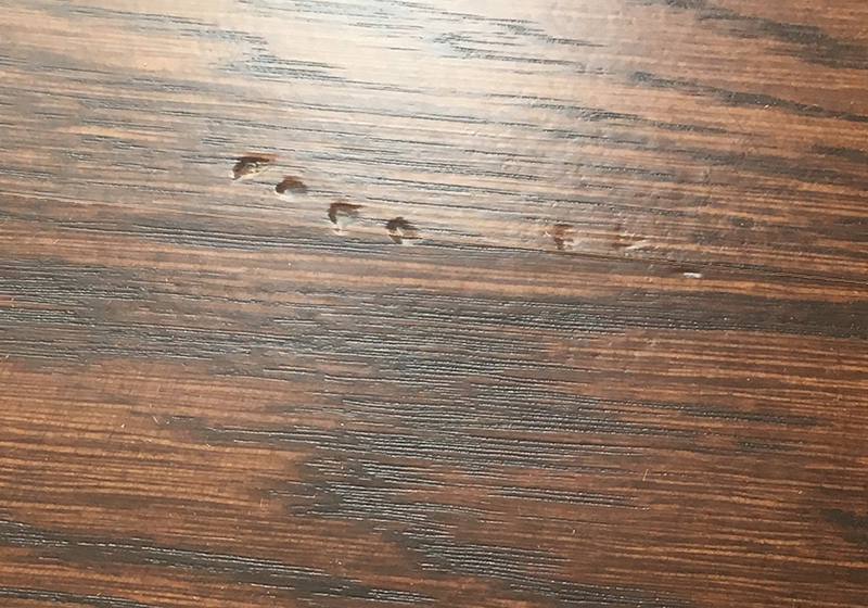 Wooden Floor Repairs, Renovations & Refinishing | Swinard Wooden Floors